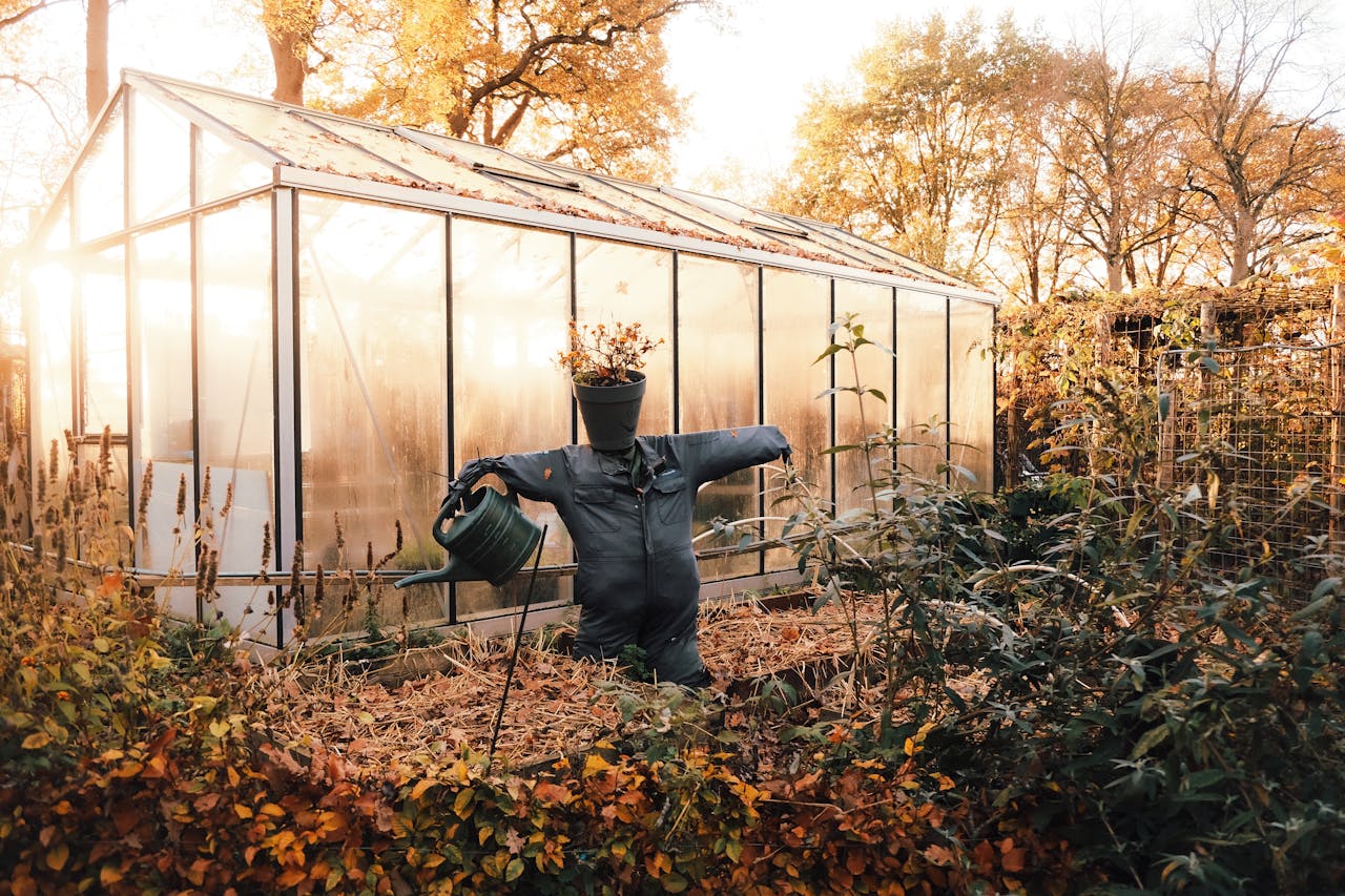 tips voor het kiezen van de juiste kweekkas en hekwerk voor je moestuin ...